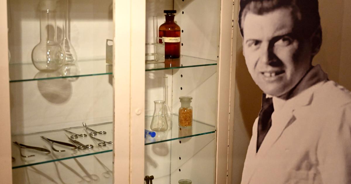 'Moja teta iz vrtića skrivala je nacističkog Anđela smrti Josefa ...