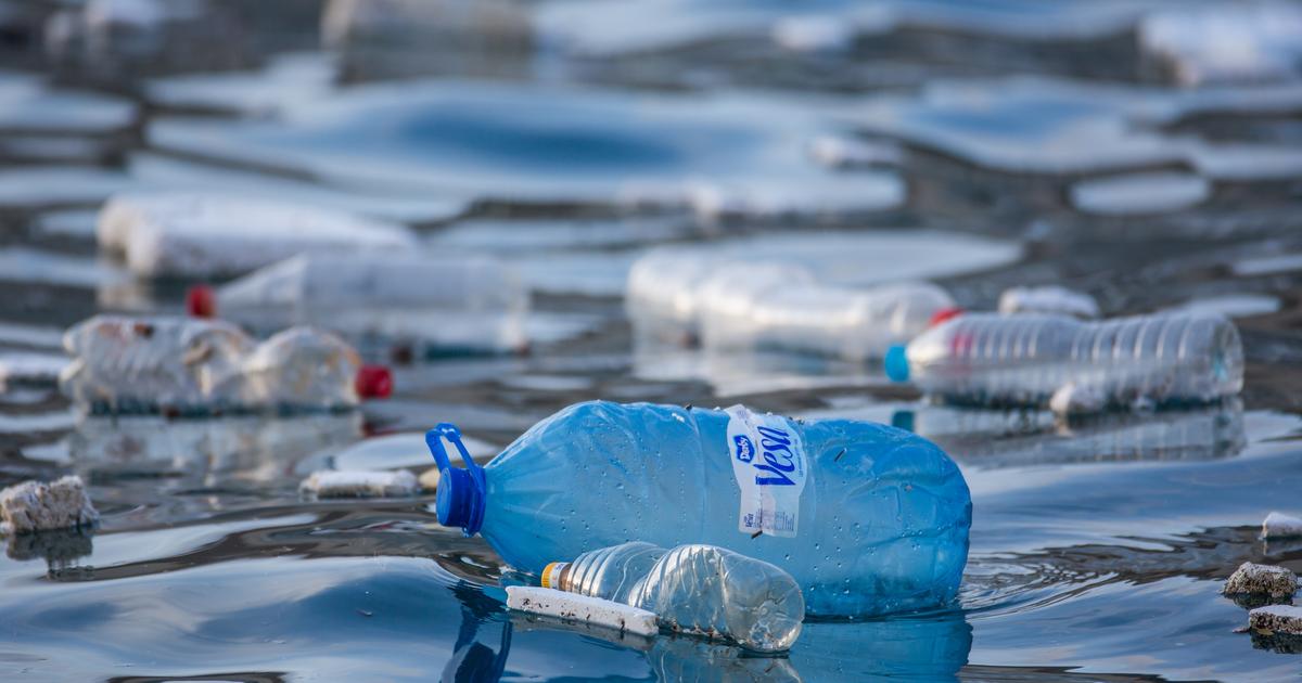 Plastika nema alternative, caka je u razgradnji ostataka | Express